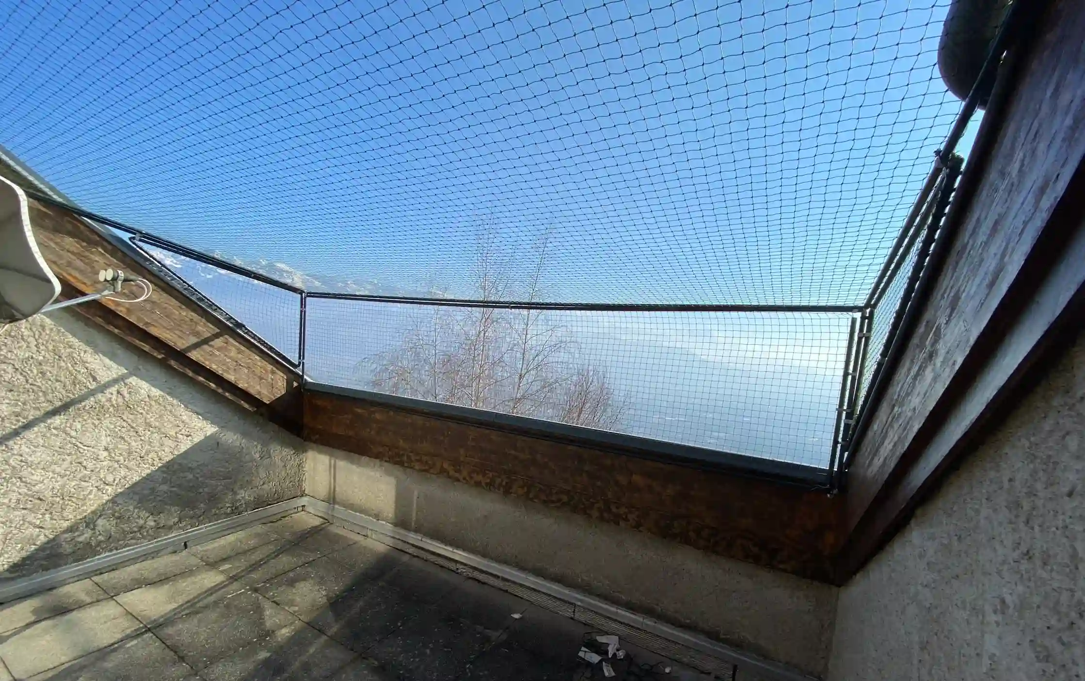 La Solution Sécurité Pour Votre Chat | Filet et Protection pour Chat